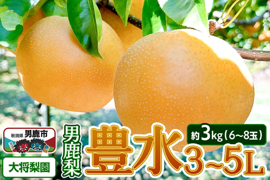 ふるさと納税 「【先行受付】男鹿梨 「大将梨園」豊水 約3kg 6〜8玉 3〜5L 梨 秋田県 男鹿市|10310」 秋田県男鹿市 - ふるさと納税の「ふるさとぷらす」
