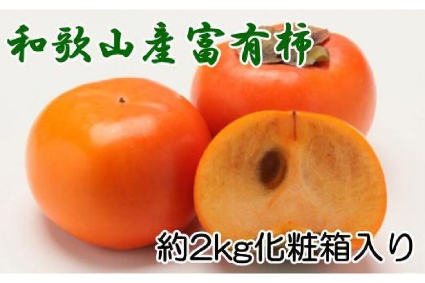 ふるさと納税 「[厳選・産直]和歌山産の富有柿約2kg（化粧箱入り）（2L～4Lサイズ）【TM59】」 和歌山県上富田町 - ふるさと納税の「ふるさとぷらす」