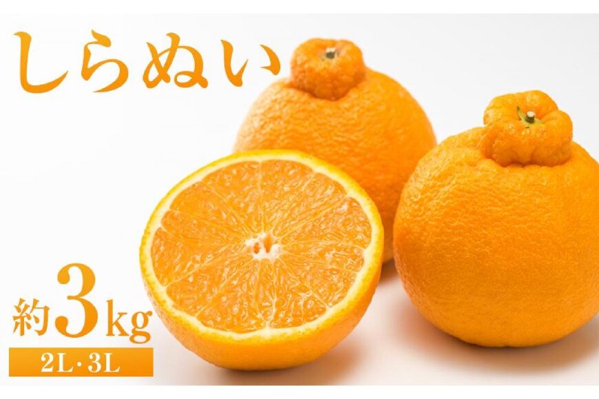 ふるさと納税 「しらぬい 約3kg（2L・3L）【 2025年2月下旬から発送】」 広島県尾道市 - ふるさと納税の「ふるさとぷらす」